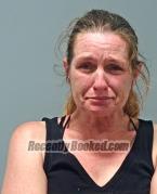 Recent Booking / Mugshot for RACHEL CHRISTINE TIDWELL in Warren County ...