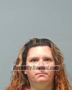ASHLEY NICOLE VAN WINKLE Arrest Record & Booking Info – Warren County ...