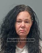 Recent Booking / Mugshot for JENNIFER L WILSON in Warren County, Ohio