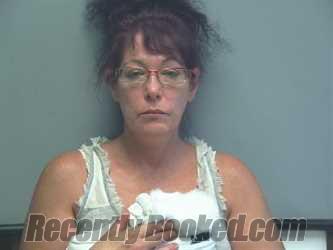 Recent Booking / Mugshot for DANA STALEY in Wayne County, Ohio