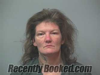 Recent Booking / Mugshot for SHANNON CAVANAUGH in Wayne County, Ohio