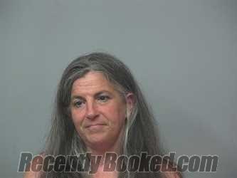 Recent Booking / Mugshot for BRIDGET BROWN in Wayne County, Ohio