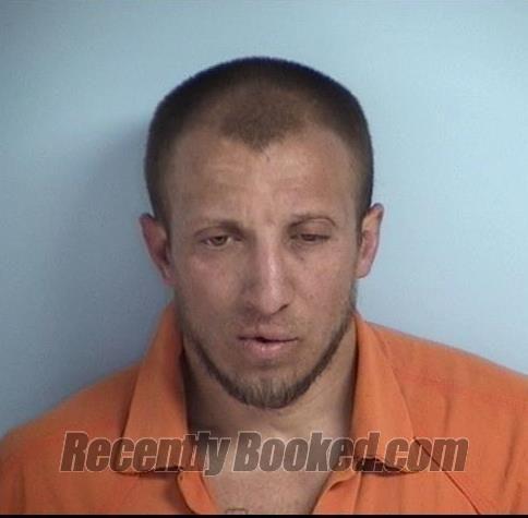 Recent Booking / Mugshot for LARRY MICHAEL ANDERSON in Walton County ...