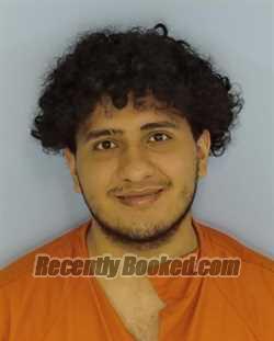 Recent Booking / Mugshot for DANIEL MATTHEW ALEMAN in Walton County ...