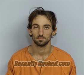 Recent Booking / Mugshot for SKYE TYLER PILGRIM in Walton County, Florida