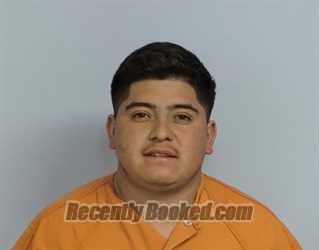 Recent Booking / Mugshot for ALEJANDRO MARQUEZ MICHUA in Walton County ...