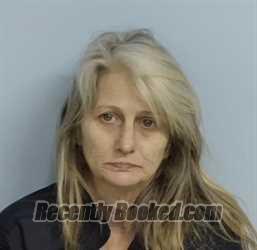 Recent Booking / Mugshot for MARION SHEPPARD ARCABASCIO in Walton ...