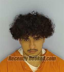 Recent Booking / Mugshot for DANIEL MATTHEW ALEMAN in Walton County ...