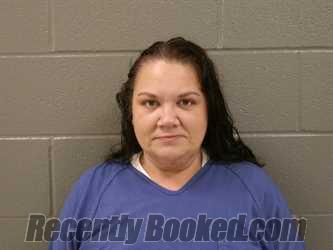 Recent Booking / Mugshot for APRIL MARIE HEATH in Wood County, Ohio