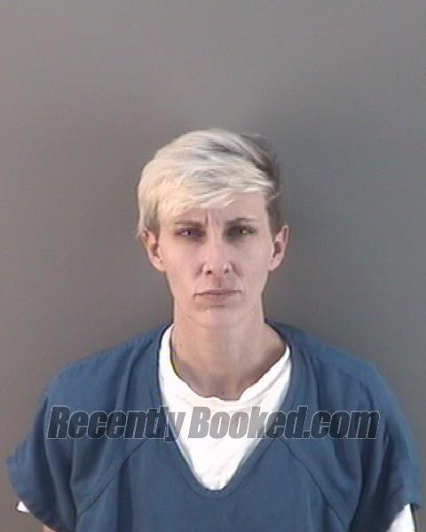 Recent Booking / Mugshot for JAMIE MICHELLE BROGAN in Wood County, Ohio