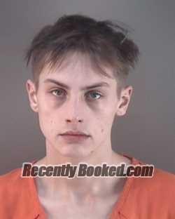 Recent Booking / Mugshot for TYLER RICHARD COLLIN HEINZE in Wood County ...