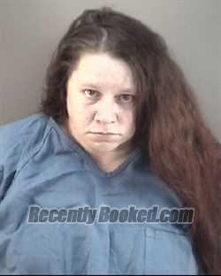 Recent Booking / Mugshot for HEATHER LYNN TABBERT in Wood County, Ohio