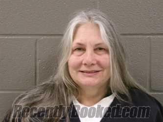 Recent Booking / Mugshot for JENNIFER ANN WIDEMAN in Wood County, Ohio