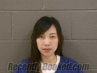 Recent Booking / Mugshot for LIPING HUANG in Wood County, Ohio