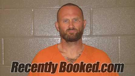 Recent Booking / Mugshot for MICHAEL SHANE PITTS in Wood County, Ohio
