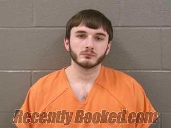 Recent Booking / Mugshot for NICHOLAS ANDREW GOWING in Wood County, Ohio