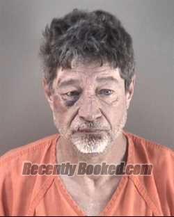 Recent Booking / Mugshot for PAUL PETER ZAM in Wood County, Ohio