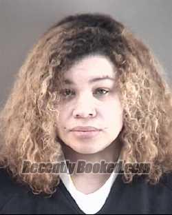Raven Mccall Anteau Mugshot & Arrest Info | Wood County, OH