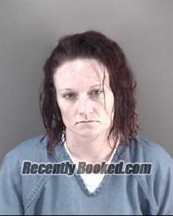 Recent Booking / Mugshot for RENEE DAWN EULER in Wood County, Ohio
