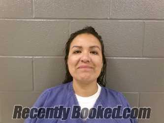Recent Booking / Mugshot for STEPHANIE ANGELA MARIE BRICENO in Wood ...