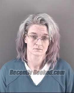 Recent Booking / Mugshot for STEPHANIE ANN HUMMER in Wood County, Ohio
