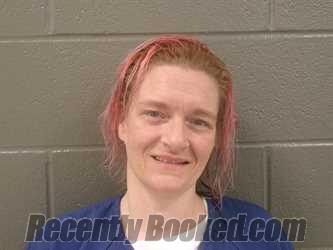 Recent Booking / Mugshot for STEPHANIE ANN HUMMER in Wood County, Ohio