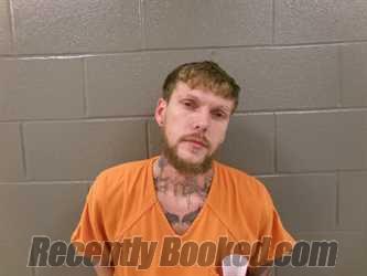 Recent Booking / Mugshot for TYLER SCOTT SWANIGAN in Wood County, Ohio