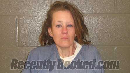 Recent Booking / Mugshot for VANESSA LYNN VONBAUER in Wood County, Ohio