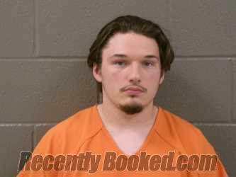 Recent Booking / Mugshot for WILLIAM HENRY FESSLER in Wood County, Ohio