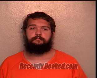 Recent Booking / Mugshot for JORDAN C DELONG in Wyandot County, Ohio