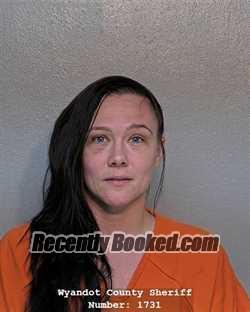 Recent Booking / Mugshot for BRITTANY ROSE BUSHONG in Wyandot County, Ohio