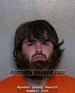 Recent Booking / Mugshot for CALEB ROBERT HEILMAN in Wyandot County, Ohio