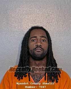 Recent Booking / Mugshot for JEREMY C WHITE in Wyandot County, Ohio