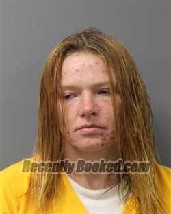 Recent Booking / Mugshot for JESSICA LYNN MCCAULEY in Berks County ...