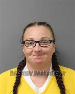 Recent Booking / Mugshot for AMANDA MARIE SELL in Berks County ...