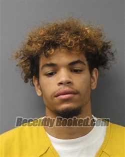 Recent Booking / Mugshot for ELIJAH SCOTT HOLT in Berks County ...