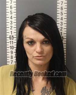 Recent Booking / Mugshot for ASHLEY NICOLE WILLIAMS in Dauphin County ...