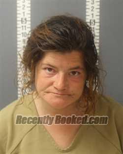 Recent Booking / Mugshot for APRIL LYNN LENKER in Dauphin County ...