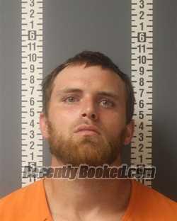 Recent Booking / Mugshot for ROBERT WILSON in Dauphin County, Pennsylvania