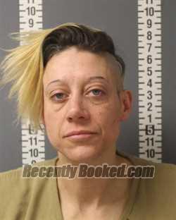 Recent Booking / Mugshot for MICHELLE ANN MILLER in Dauphin County ...