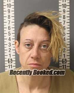 Recent Booking / Mugshot for MICHELLE ANN MILLER in Dauphin County ...