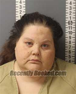 Recent Booking / Mugshot for BRANDI ANN HUBER in Dauphin County ...