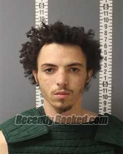 Recent Booking / Mugshot for GIOVANNI TYRESSE HALL in Dauphin County ...