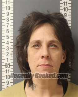 Recent Booking / Mugshot for CRYSTA LEE REESEMAN in Dauphin County ...