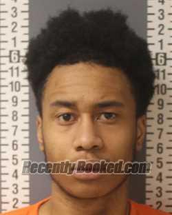 Recent Booking / Mugshot for MAKHI WASHINGTON in Dauphin County ...
