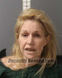 Recent Booking / Mugshot for ANN CHANDLER MCHUGH in Dauphin County ...