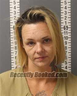 Recent Booking / Mugshot for HEATHER ANN STARK in Dauphin County ...