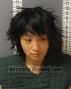 Recent Booking / Mugshot for JULIA CHOY in Dauphin County, Pennsylvania