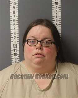 Recent Booking / Mugshot for ASHLEY NICOLE CELSKY in Dauphin County ...