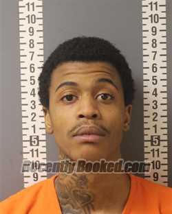Recent Booking / Mugshot for TAMARION BROWN in Dauphin County, Pennsylvania